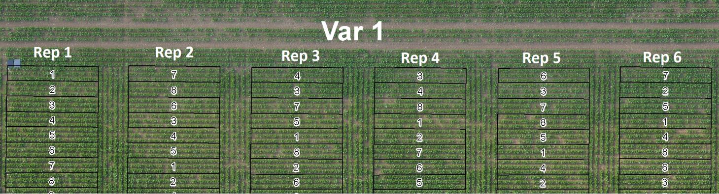 Trials for testing new seed treatments
